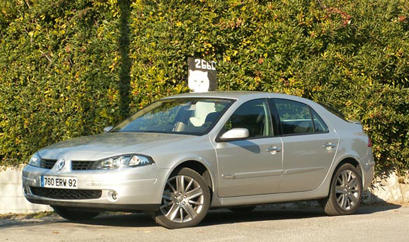 Renault Laguna 2 Reifengrosse
