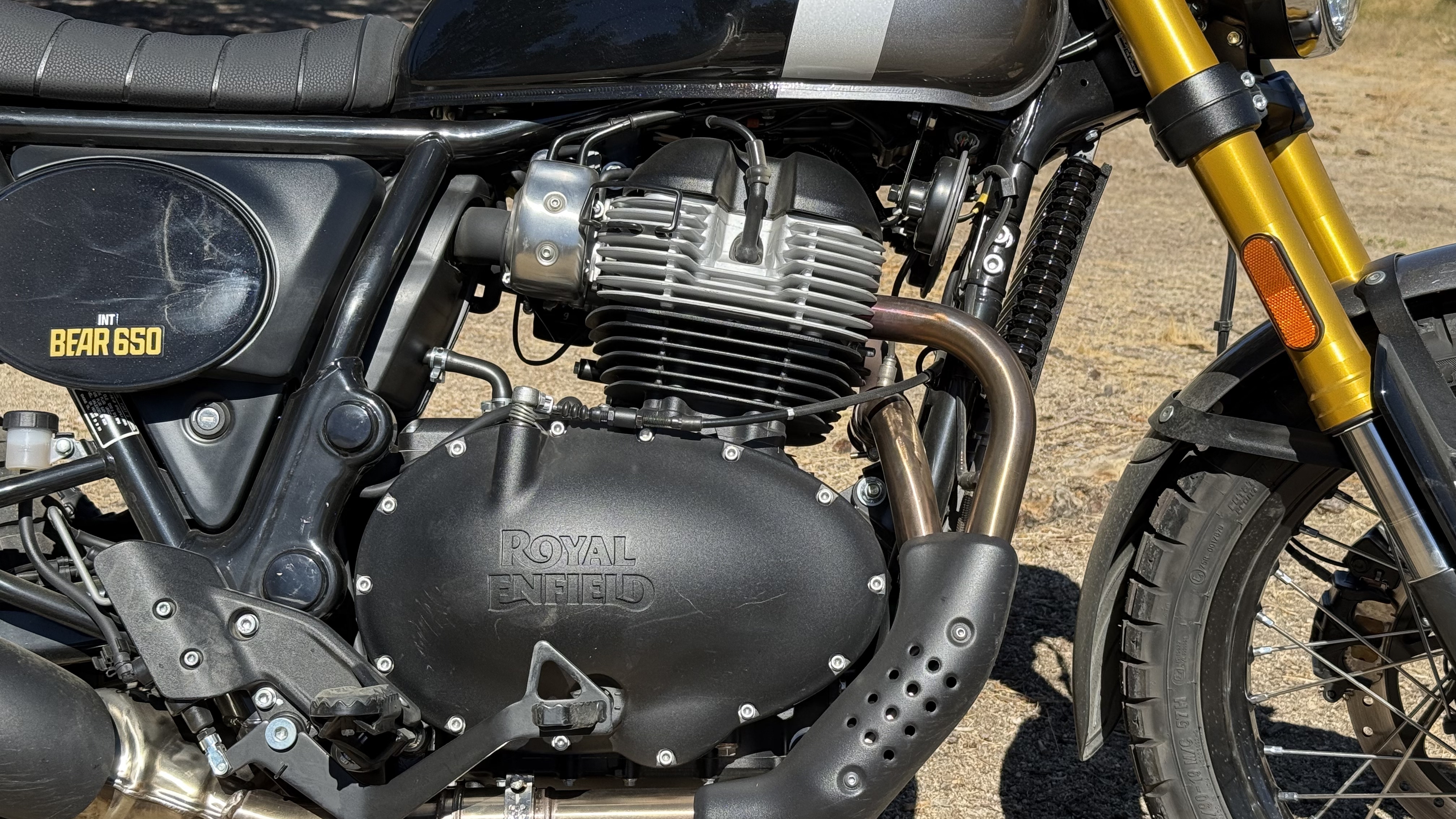 Royal Enfield Bear 650, un scrambler efficace et abordable