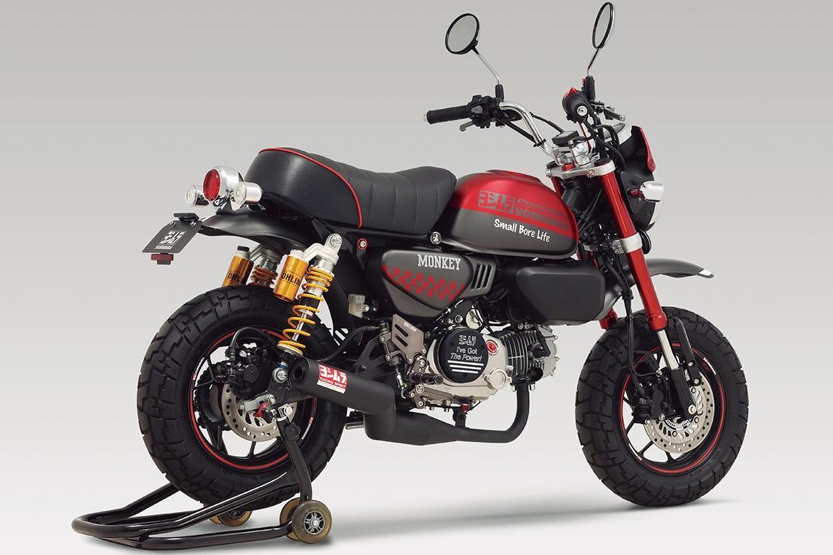 Honda Monkey Yoshimura : petit mais costaud