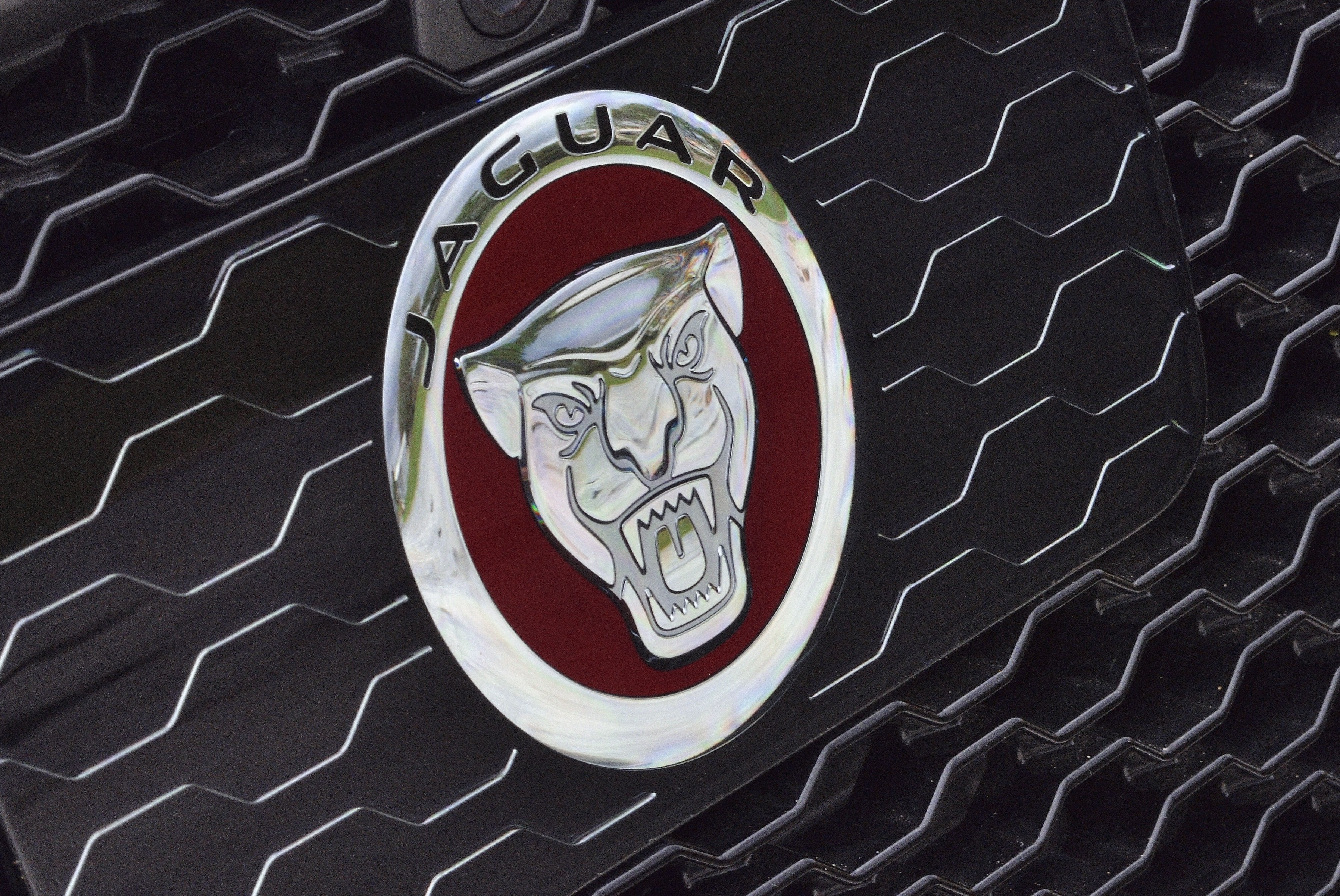 Le nouveau logo Jaguar se veut "unique et intrépide", sérieusement