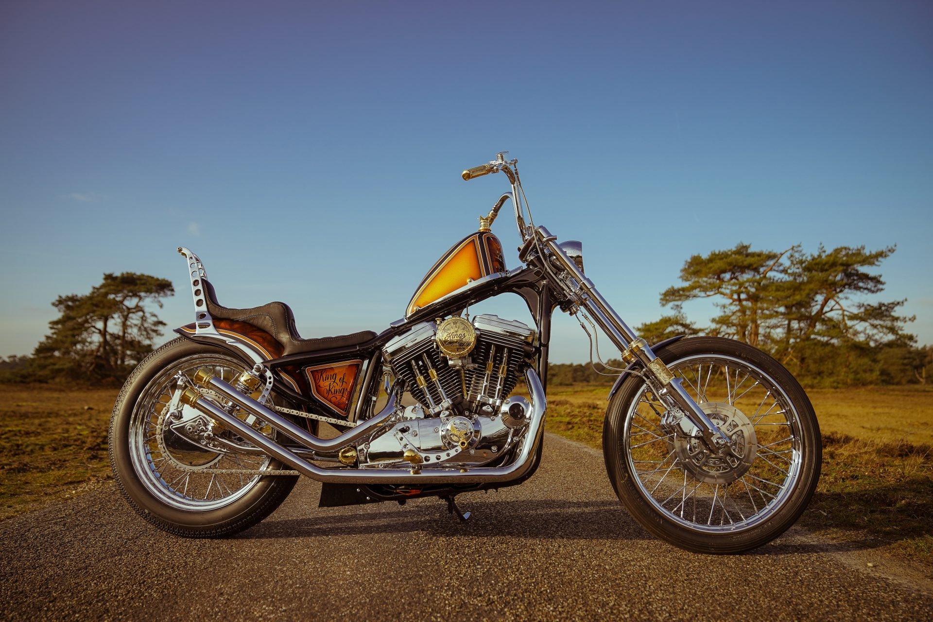 L'Apex Predator sacrée King of Kings par Harley-Davidson