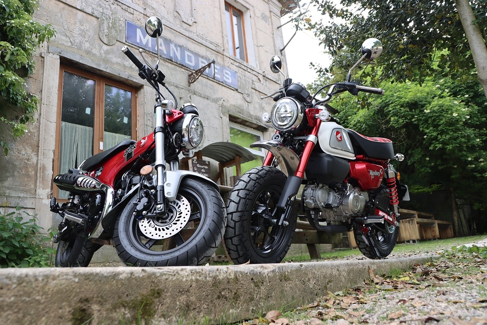 Comparatif – Honda 125 Dax VS Honda 125 Monkey : 125 Revival - Page 3