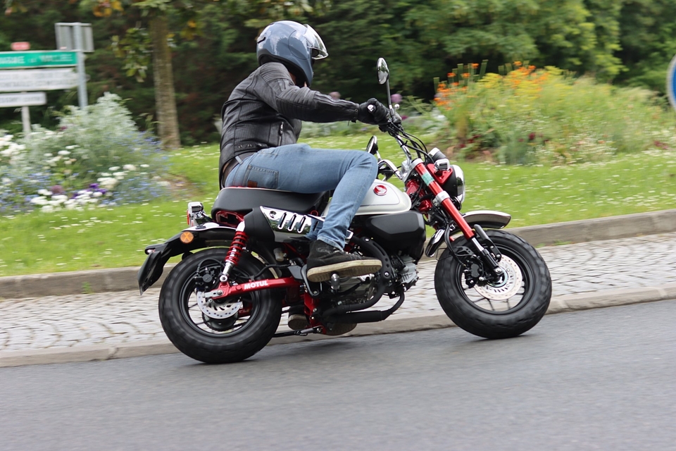 Comparatif – Honda 125 Dax VS Honda 125 Monkey : 125 Revival - Page 2