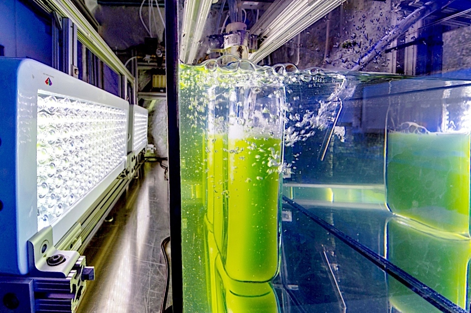 Hydrogène, hythane, bioéthanol : trois « e-carburants » pour réussir la ...