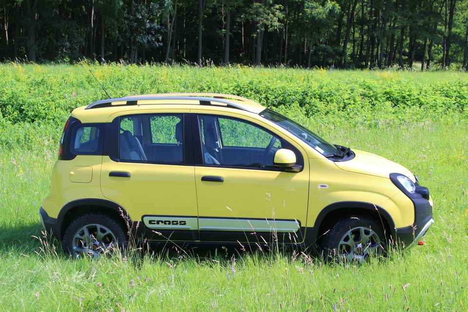 Essai - Fiat Panda Cross : espèce unique