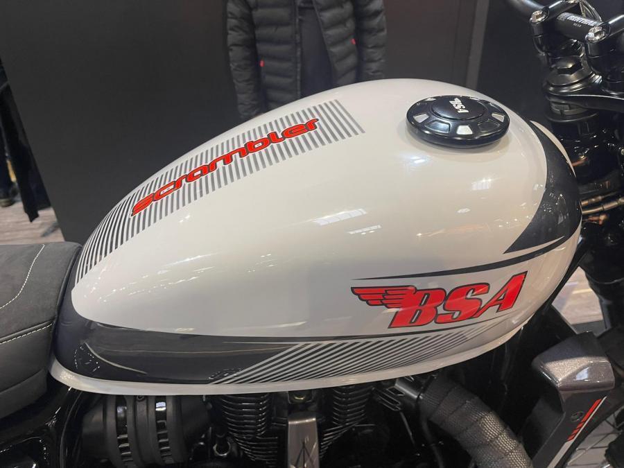 BSA : un scrambler après la Gold Star