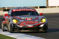 Le programme Panoz 2007 en ALMS