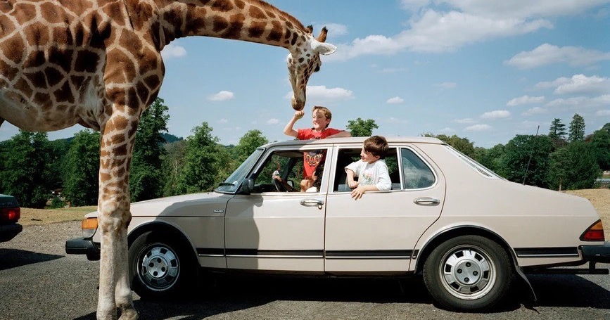 Bye-Bye Martin Parr