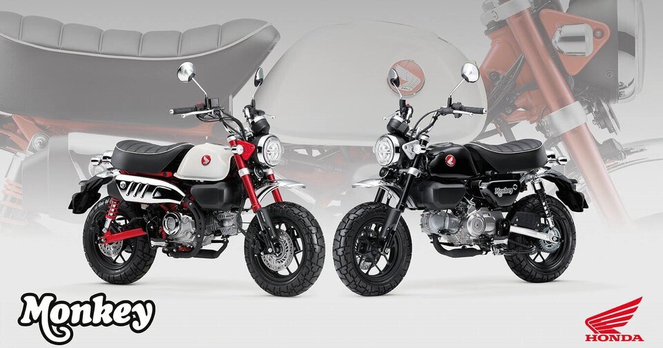 Trois nouvelles robes et Euro5+ pour le Honda Monkey 2025