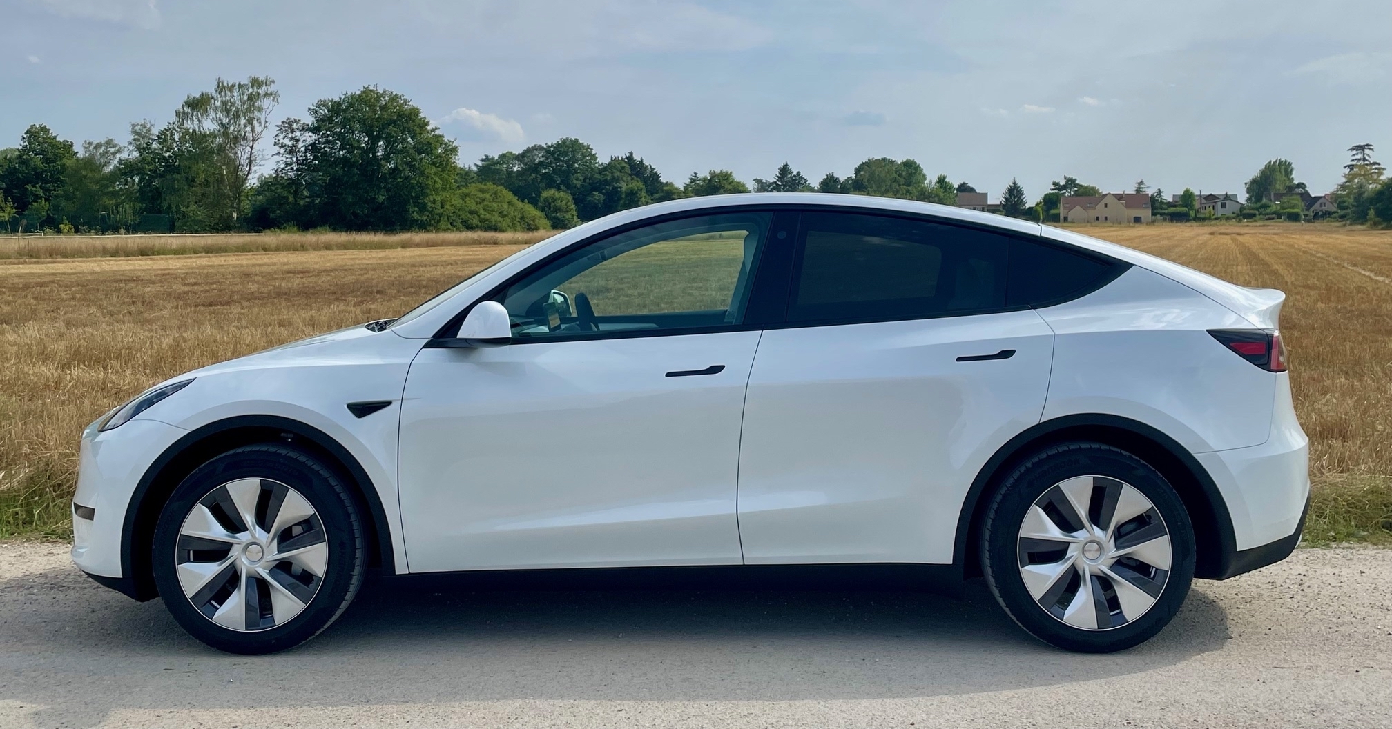 Le Tesla Model Y reste le roi du monde mais son empire est menacé