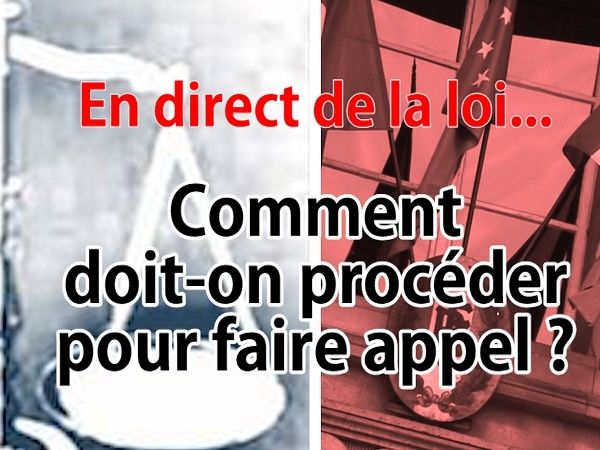 En direct de la loi : pour faire appel, comment s'y prendre