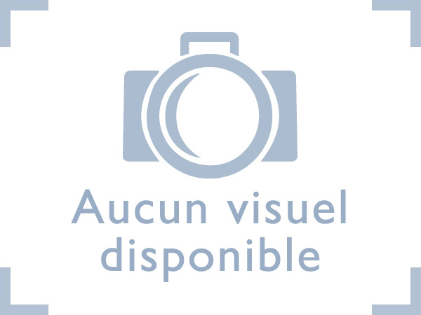 Peugeot 206 PS : une super GTI